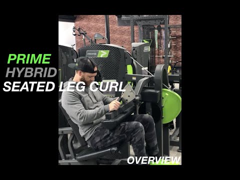 HYBRID | Seated Leg Curl - PRIME Fitness USA